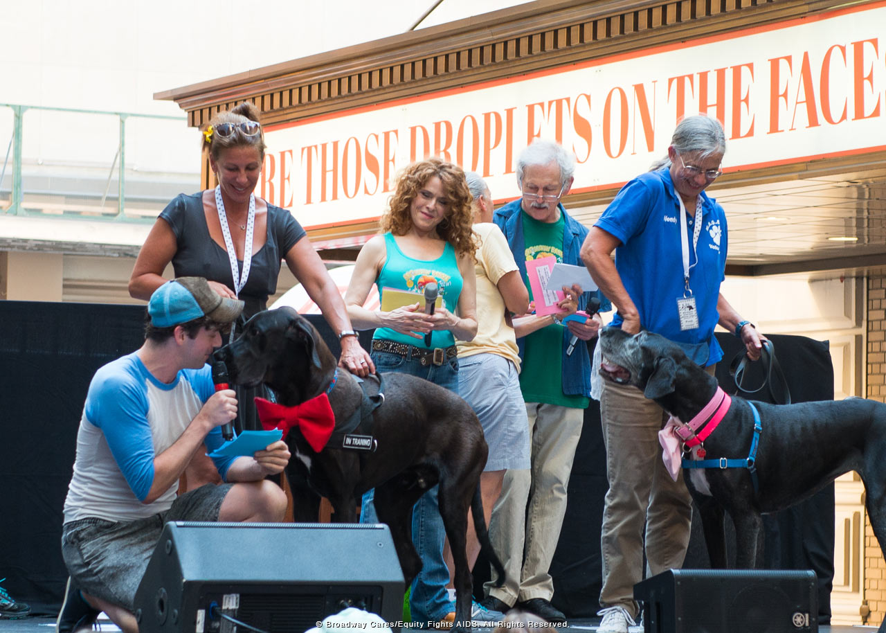 Broadway Barks Helps Find Forever Homes for Dogs and Cats – Broadway ...