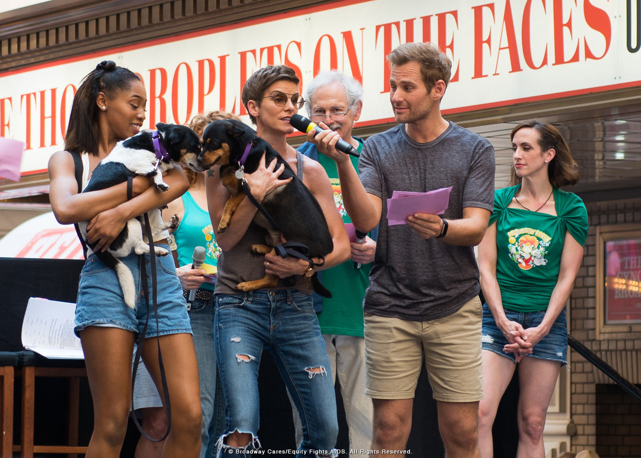 Broadway Barks Helps Find Forever Homes for Dogs and Cats – Broadway ...