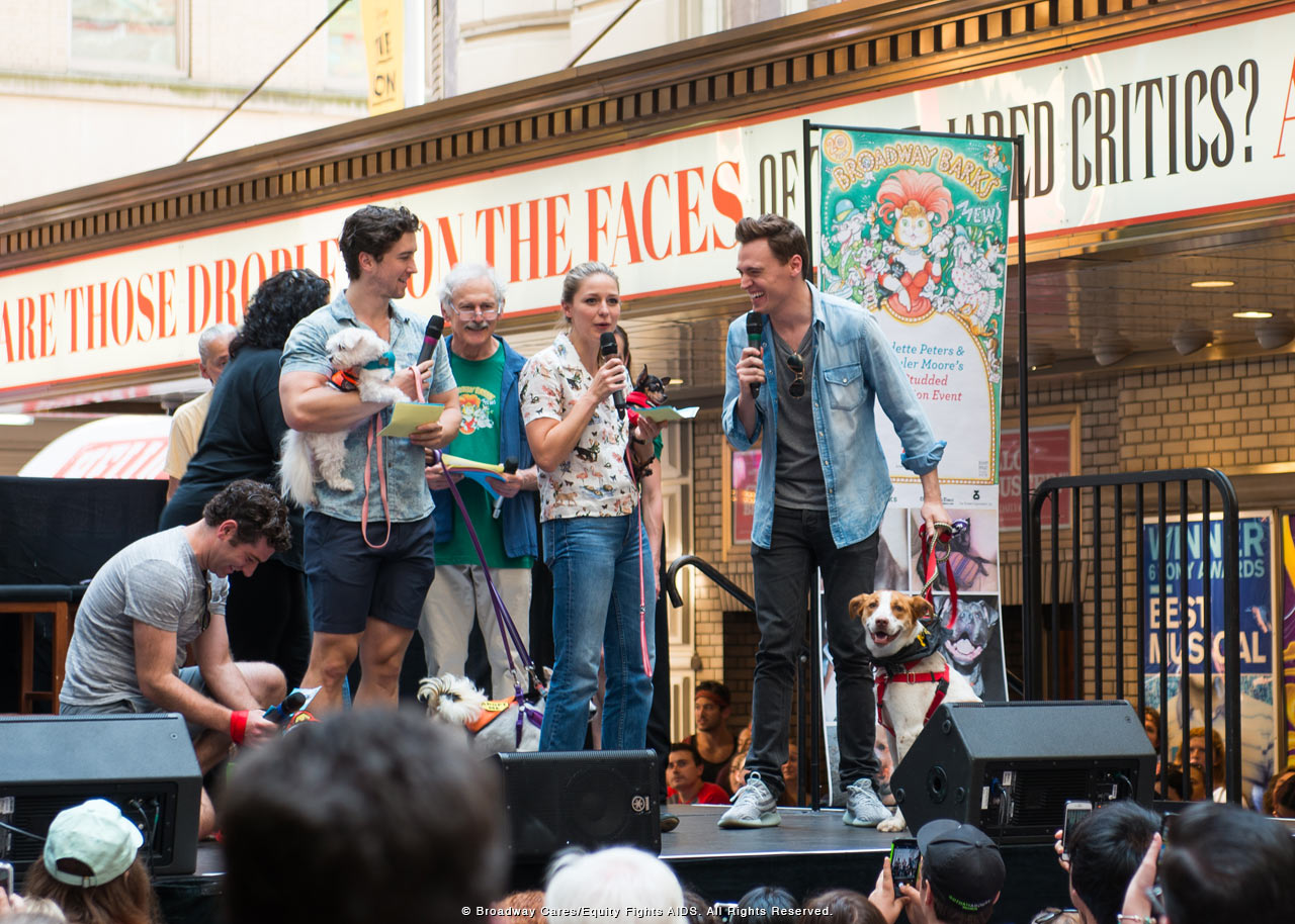 Broadway Barks Helps Find Forever Homes for Dogs and Cats – Broadway ...
