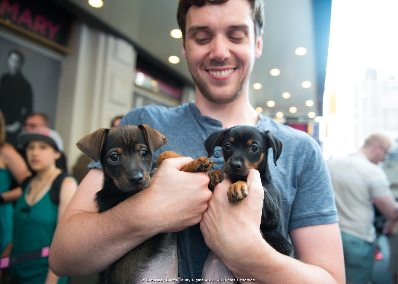 Broadway Barks Helps Find Forever Homes for Dogs and Cats – Broadway ...