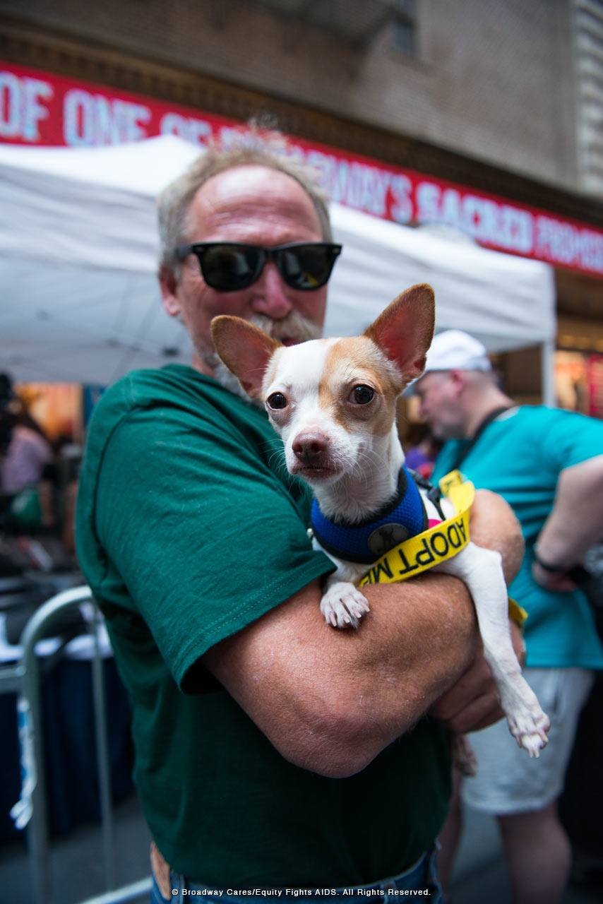 Broadway Barks Helps Find Forever Homes for Dogs and Cats – Broadway ...