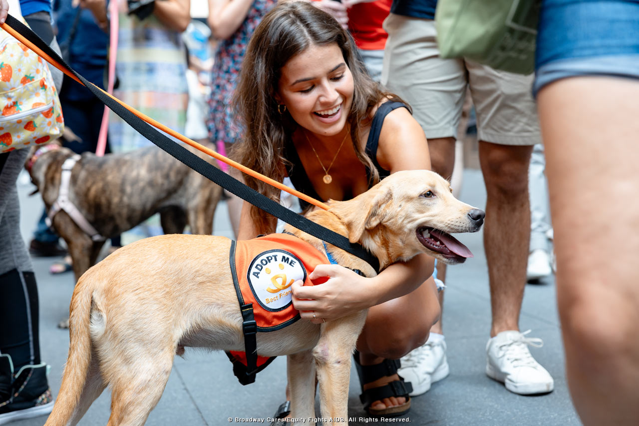 Broadway Barks Brightens Rainy Day as Pets Find Loving Homes – Broadway ...